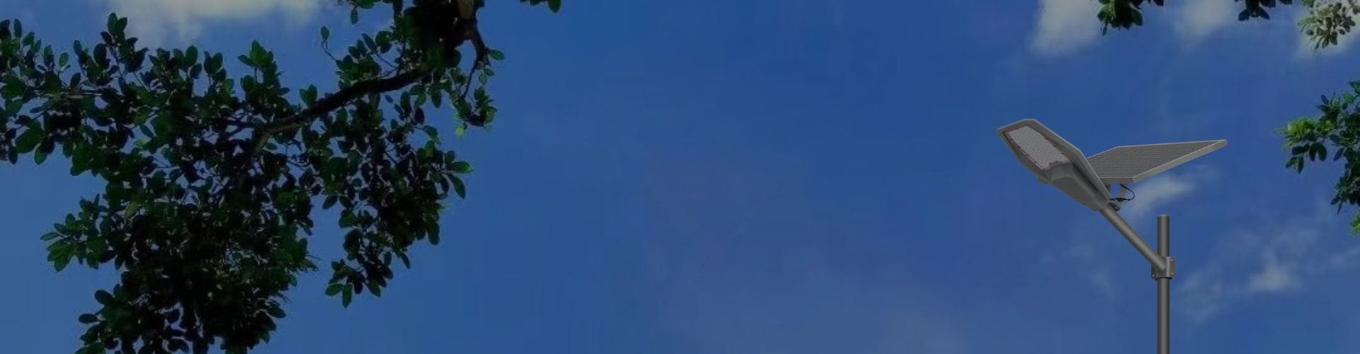 Automatic Solar Street Light Manufacturer in China-Newskypower